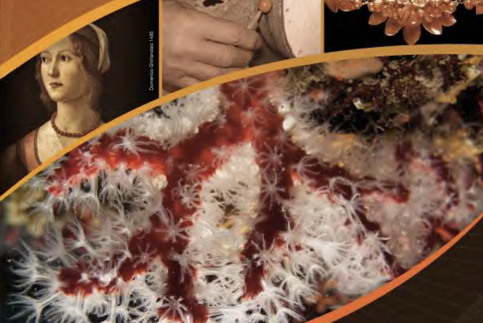 Fisheries overview – IWMC – World Conservation Trust