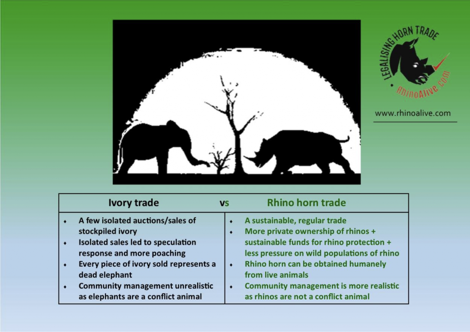 Overview of the rhino crisis & ivory auctions vs rhino horn sales ...