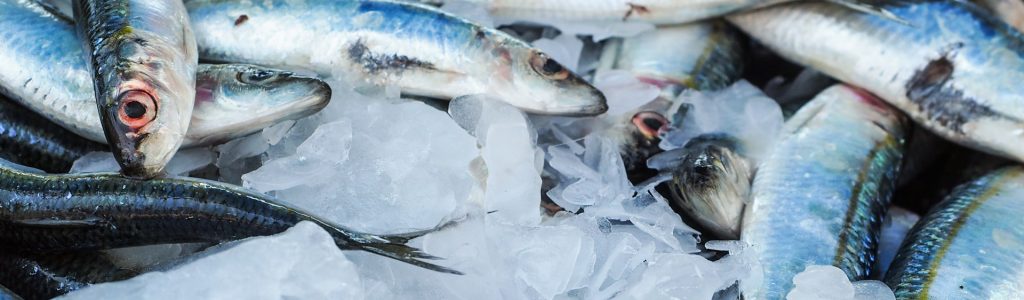 Fisheries overview – IWMC – World Conservation Trust