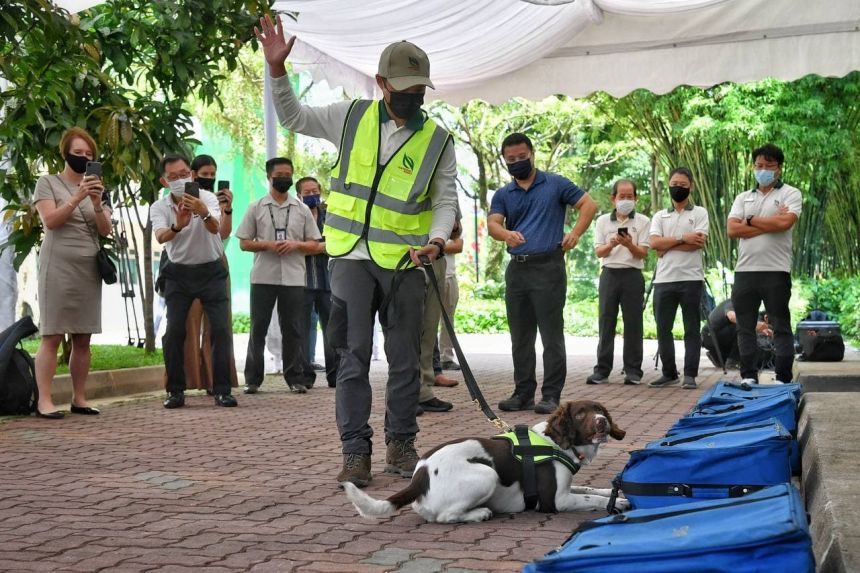 photo_2021-08-27_13-03-43 – IWMC – World Conservation Trust